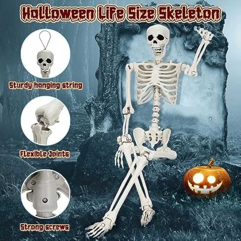 New 165Cm Halloween Life Size Plastic Skeleton Poseable Joints ...