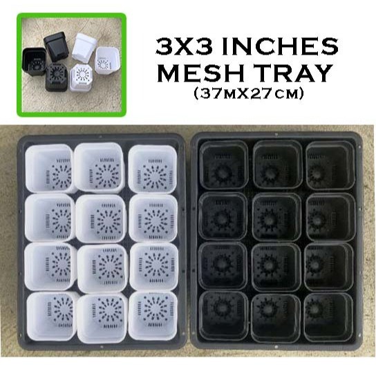 12pcs 3x3 inches High Quality Pot w/ Mesh Tray (37X27cm) | Shopee ...