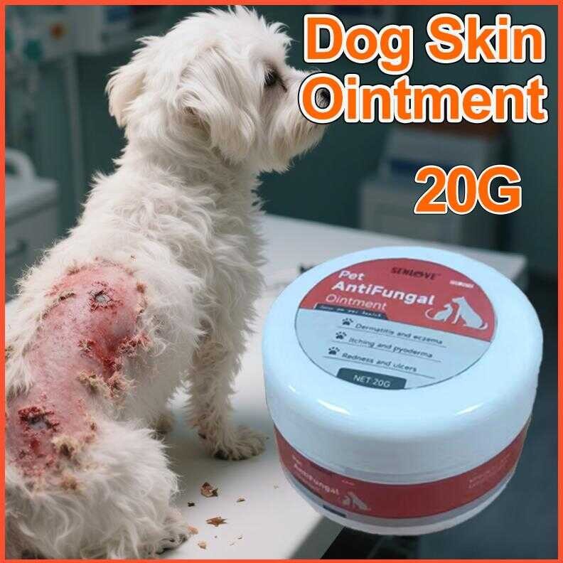 SENLOVE Pet Ointment For Skin Disease Cat Healing Cream Wounds Treats ...