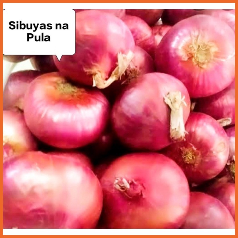 ∇ RED ONION/Sibuyas na Pula/Pulang Sibuyas250 grams,500grams,1 kilo ...