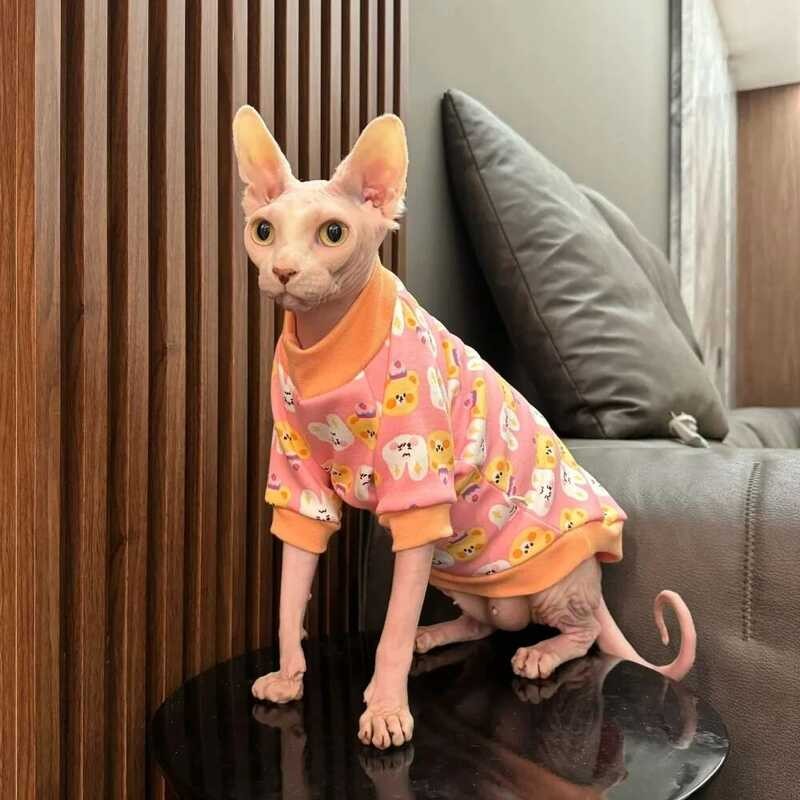 Pink COD Cotton Coat Sphynx Cat Autumn Soft Cartoon Sweatshirt Kittens ...