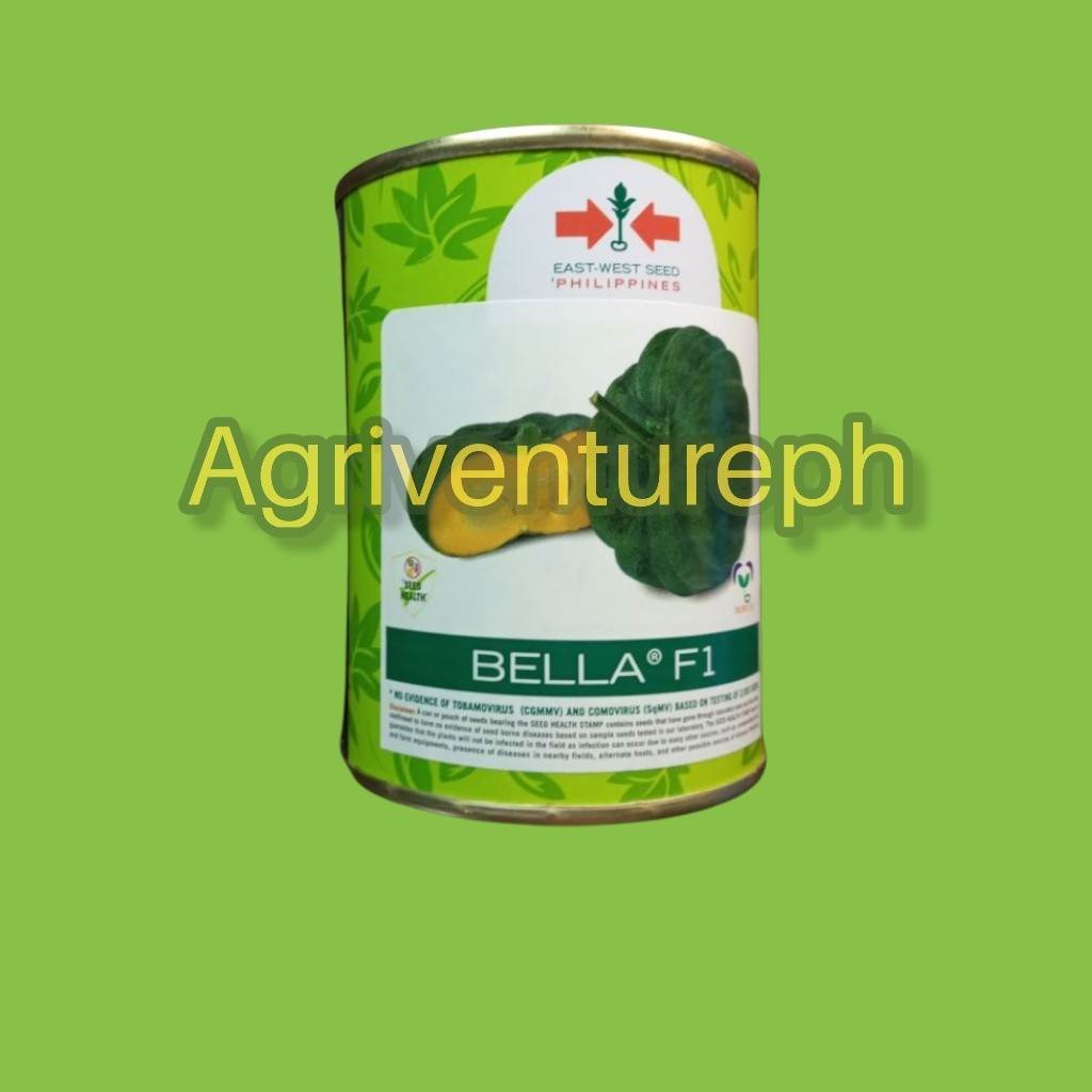BELLA F1 HYBRID SQUASH SEEDS 425 SEEDS (EAST WEST SEEDS) | Shopee ...