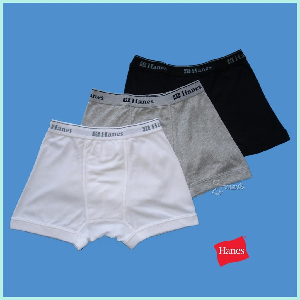 Hanes Men's Tagless Boxer Brief Single Per Piece | Shopee Philippines