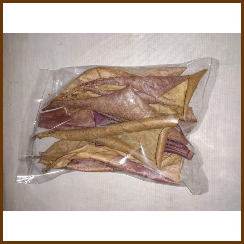 Dried Talisay leaves | Shopee Philippines