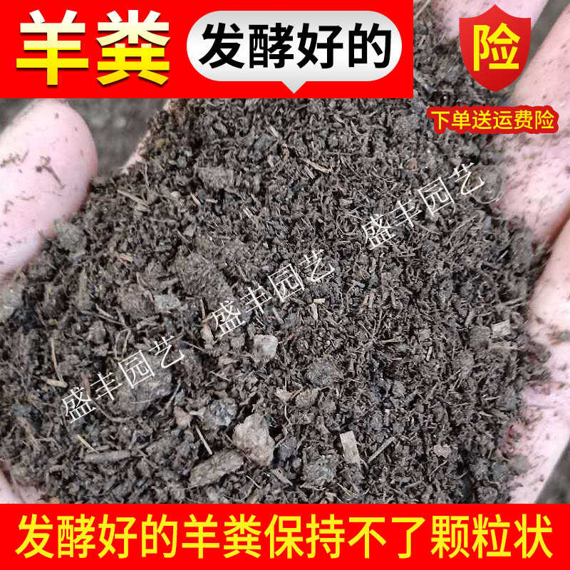 Rotten Organic Sheep Egg Granules, Potted General Fermented Farmyard ...