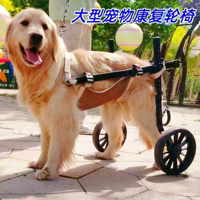 Pet Dog Wheelchair Stroller Dog Rehabilitation Walking Aid Push Cart ...