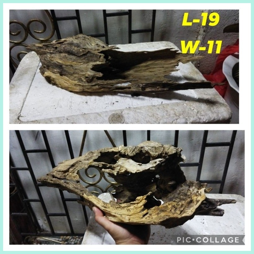 QUALITY DRIFTWOOD FOR AQUASCAPING (Fish Hides, Shrimp Hides, Tarantula ...