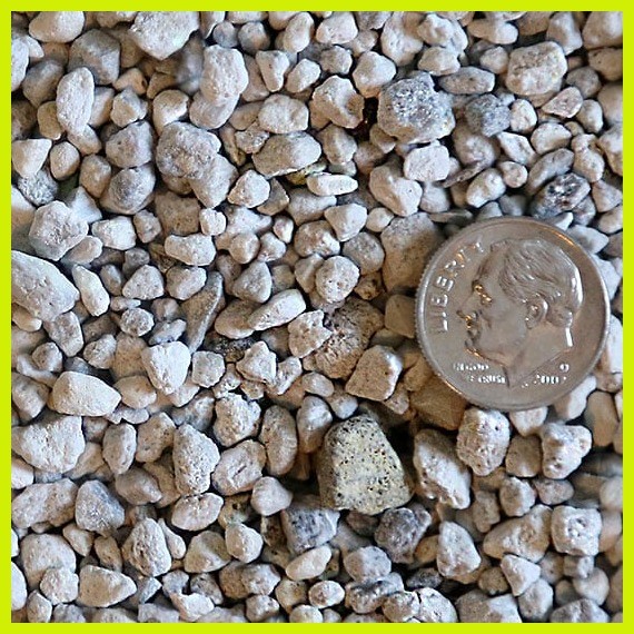 ۩ High quality Pumice Stone ( Monggo Size ) for your lovely plants ...