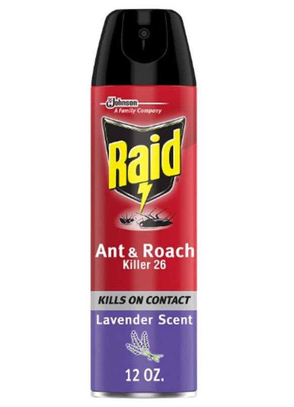 Raid Ant & Roach Killer Spray for Listed Bugs, Insect, Spider, For ...