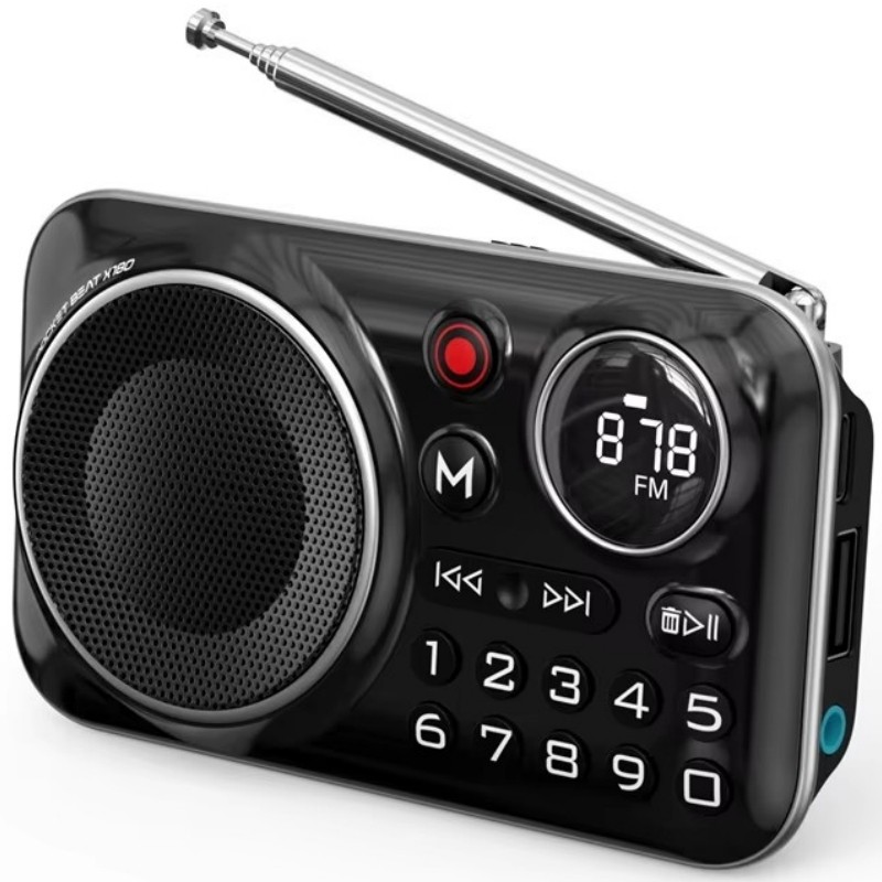 SANSUI F21 Mini Portable FM Radio For Elderly Bluetooth 5.0 Wireless ...
