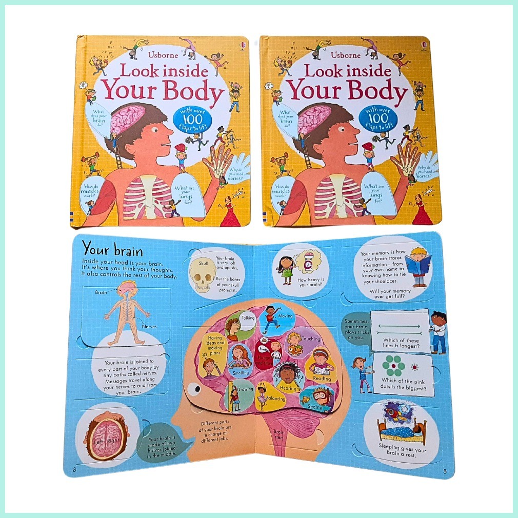 Childrens Book Look Inside See Inside 3D Flap Picture Books Toddler ...