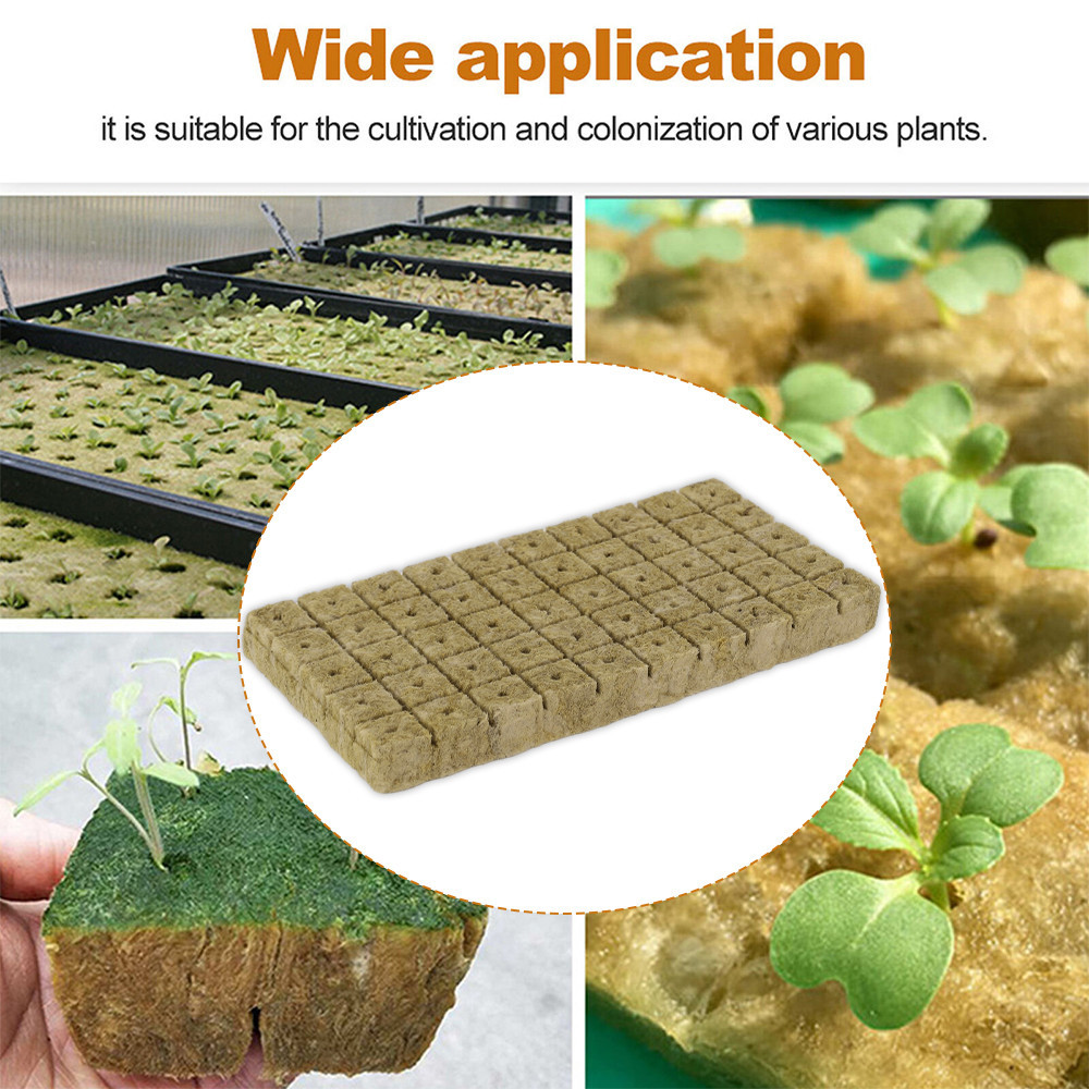 50/100/200PCS Planting Sponge Rock Wool Starter Plugs - Hydroponic Grow ...
