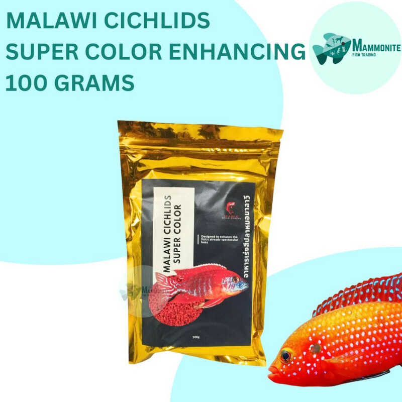 Malawi Cichlids Super Color Enhancing Food Designed to enhance fish ...