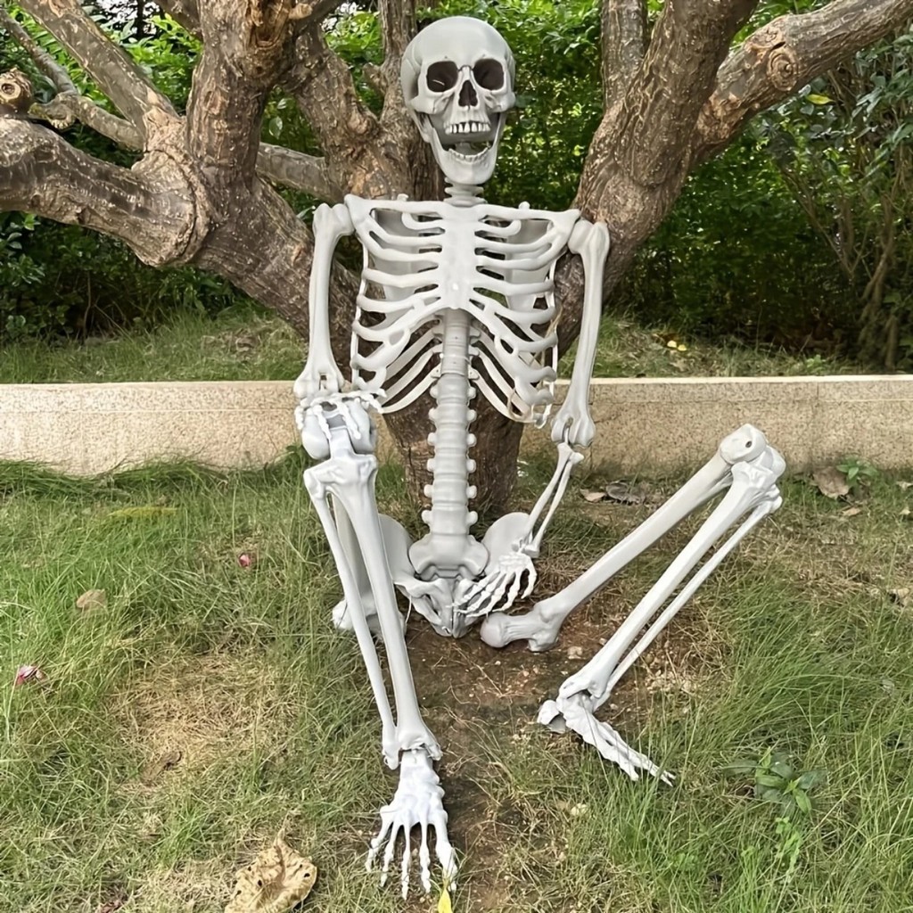 § 170Cm Realistic Full Body Skeleton Life Size Human Bones Halloween ...