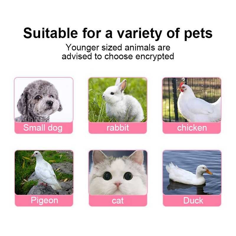 Cat Collapsible Na May Poop Tray Foldable Pet Para Sa Dog Puppy Rabbit ...