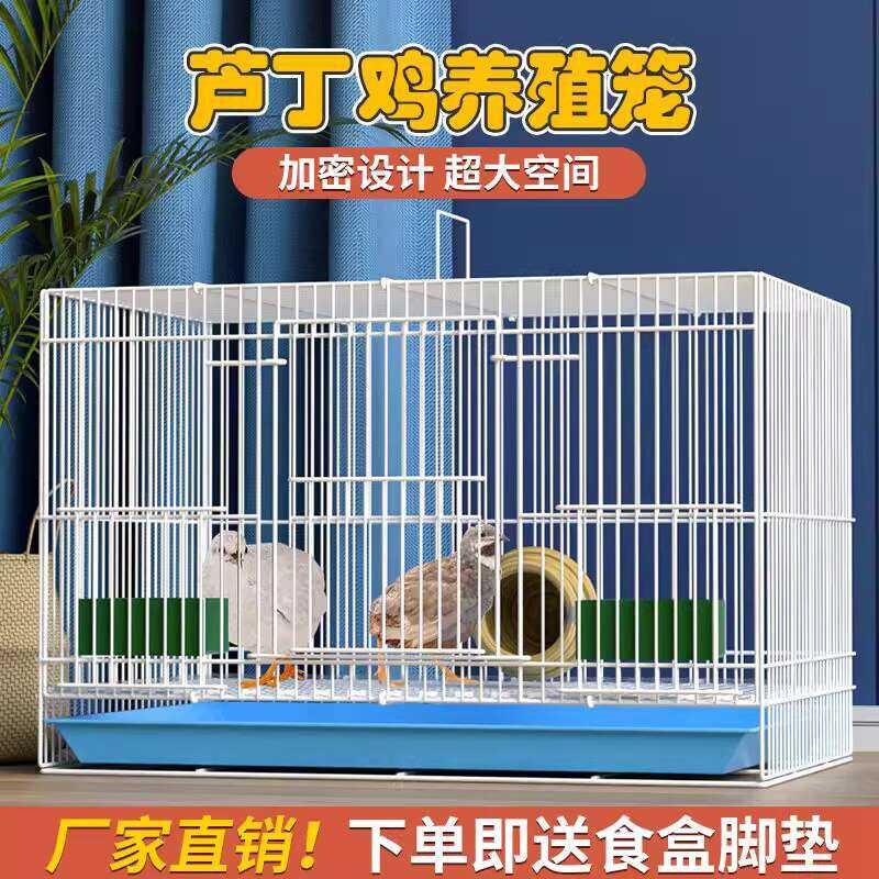 Rutin Chicken Nest Breeding Box Rutin Chicken Special Cage Brooding ...