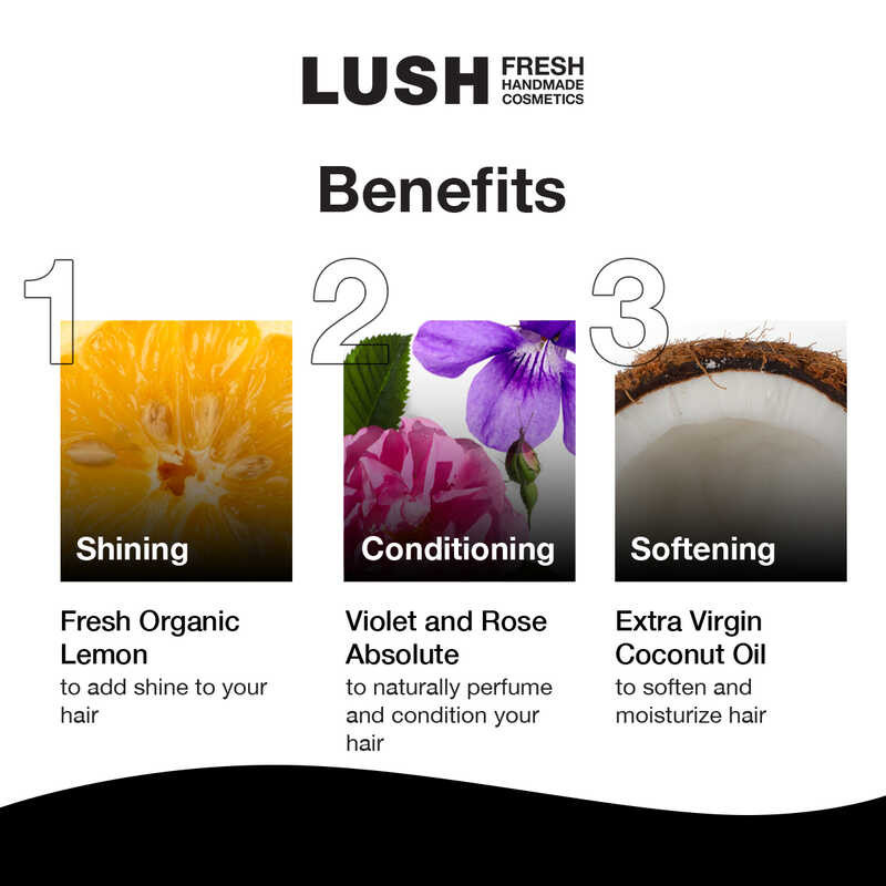 LUSH Daddy-O Shampoo (Purple Shampoo) (Softening) ) | Shopee Philippines