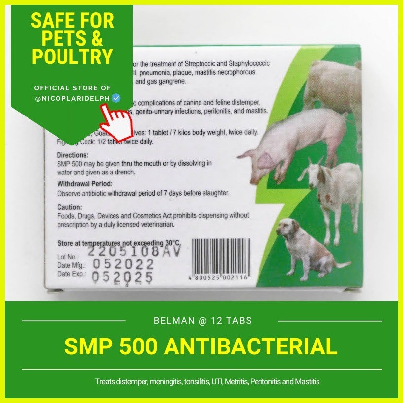 [BOX OF 12] SMP 500 Antibacterial for Distemper, UTI and Other ...