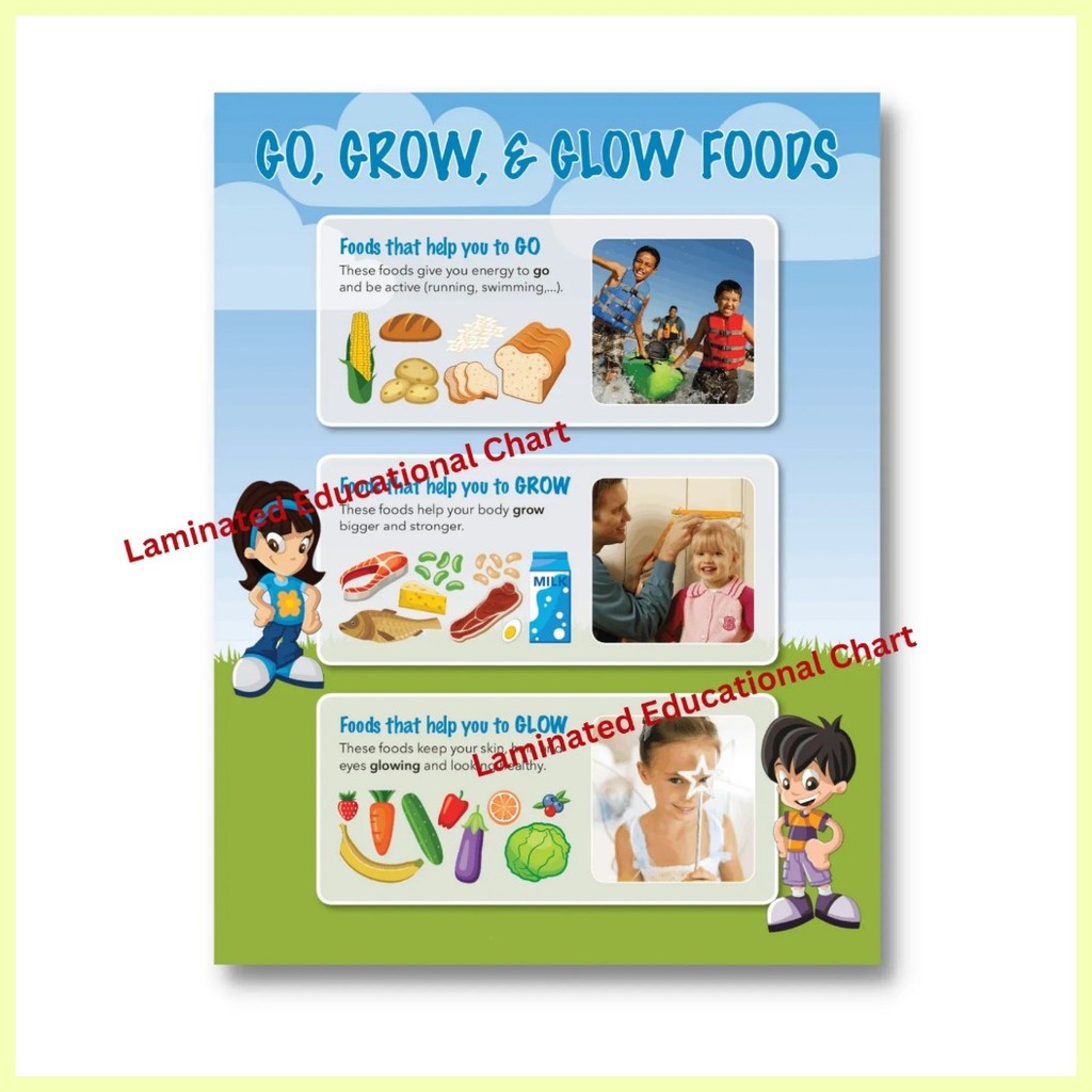 Laminated Go, Grow & Glow Foods Chart for Kids, Learners and Educators ...