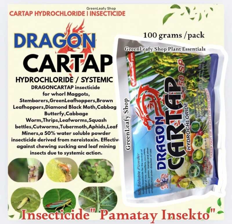 Dragon Cartap Hydrochloride Systemic Insecticide 50Sp By TAGCHEM ...