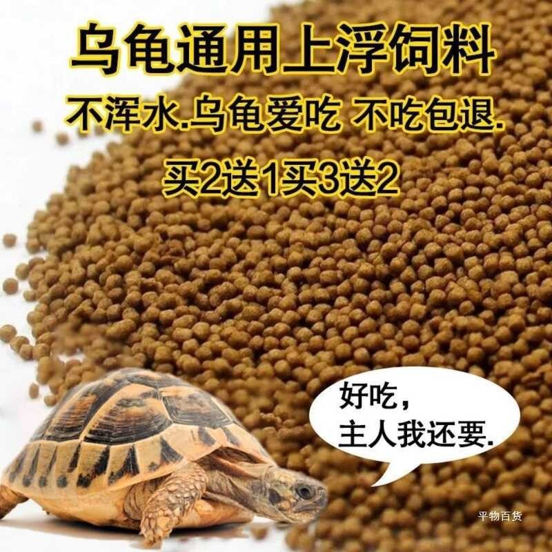 Turtle Food Turtle Feed Turtle Food Small Turtle Inch Gold Crocodile ...