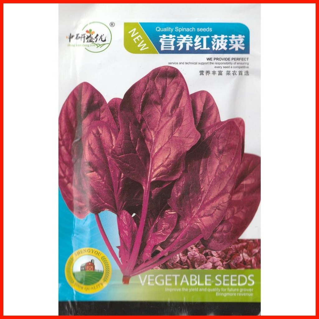 ∦ ─ Purple Spinach Vegetable Seeds ( 300 seeds ) - Basic Farm House ...