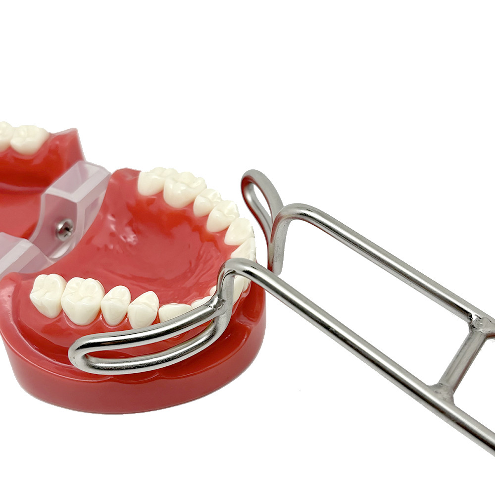 Dental Mouth Expand Lip Retractor Double-headed Intraoral Cheek Upper ...