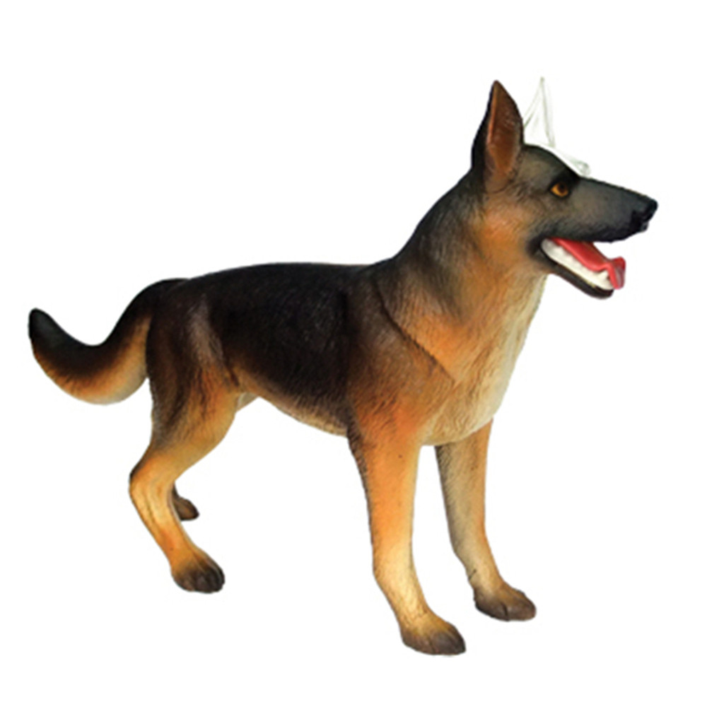 Animal Organ 4D Dog Intelligence Assembg Toy Teaching Anatomy Model DIY ...
