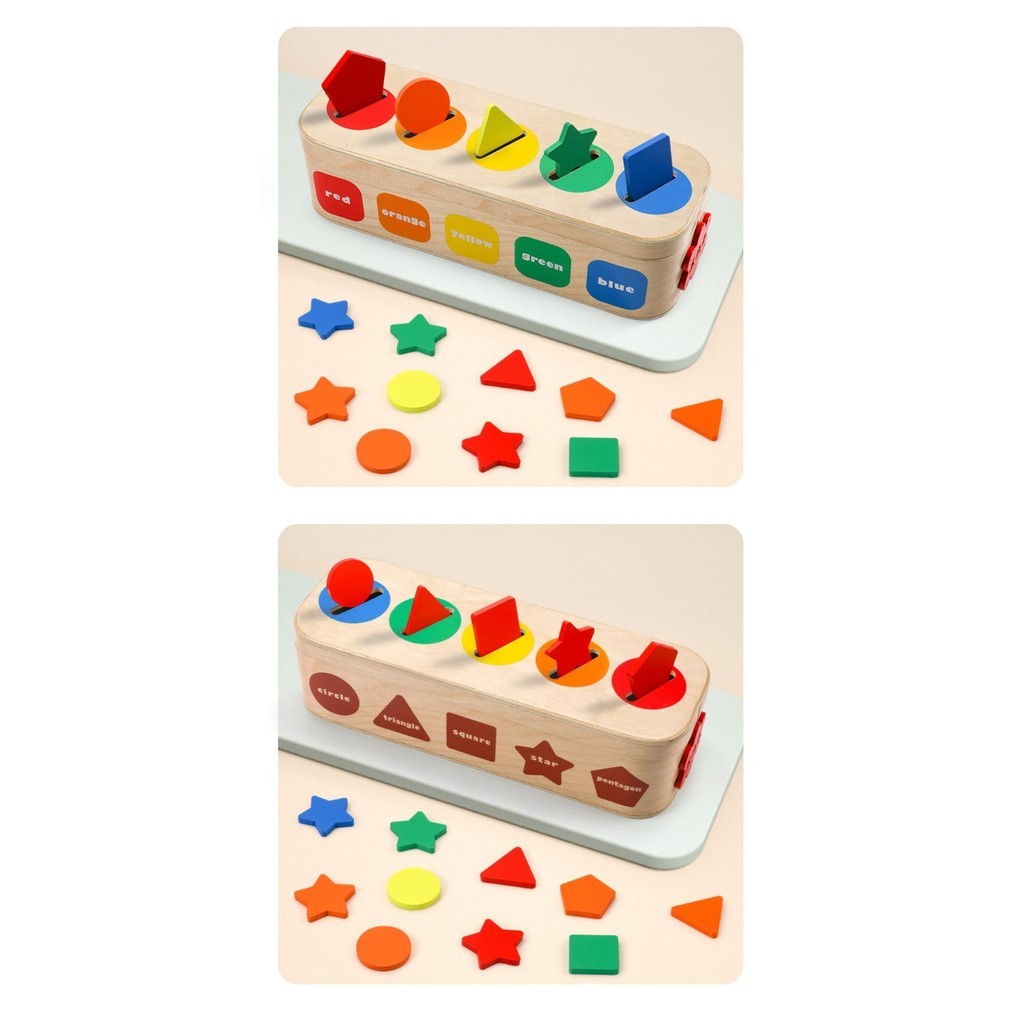 Montessori Geometric Shape Sorter – Wooden Color & Shape Matching Toy ...