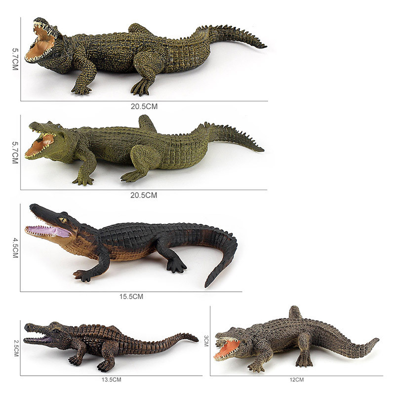 Model Static Wildlife Crocodiles With Pvc Material For Educational ...