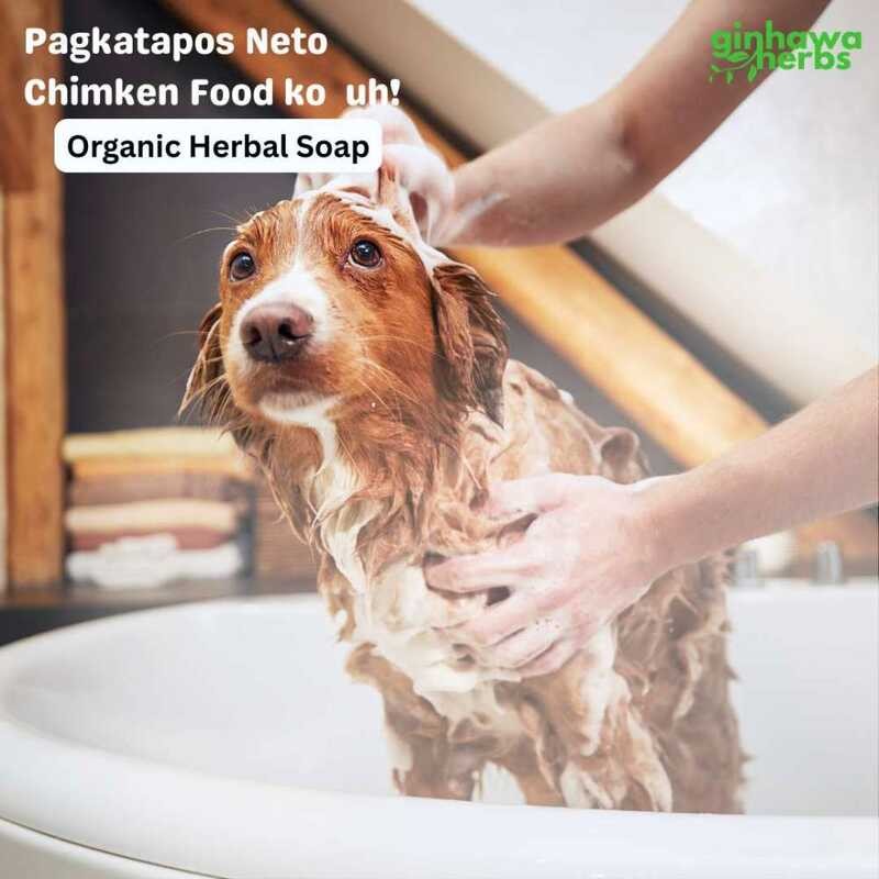 Woof Spa, Soap With Madre De Cacao For Dogs And Cats, Anti Galis Sa ...