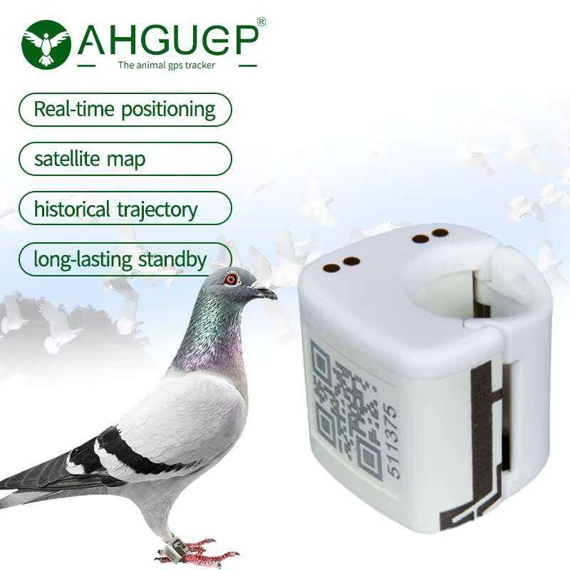 AHGUEP Brand Mini Real Time Positioning System Bird Tracker Waterproof ...