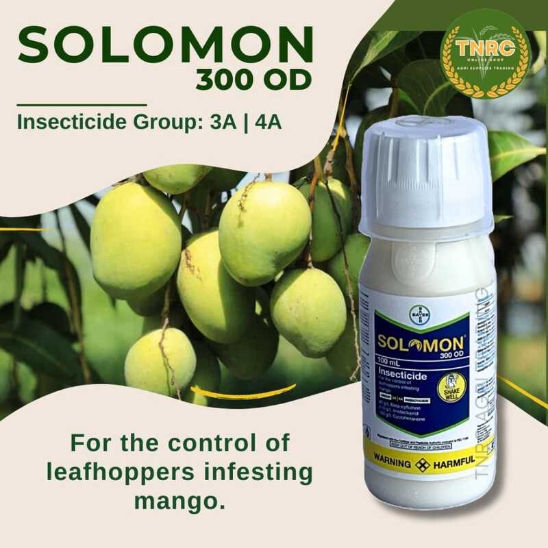 RC 100Ml SOLOMON 300 OD INSECTICIDE By Bayer | Anti Leafhoppers, Laban ...