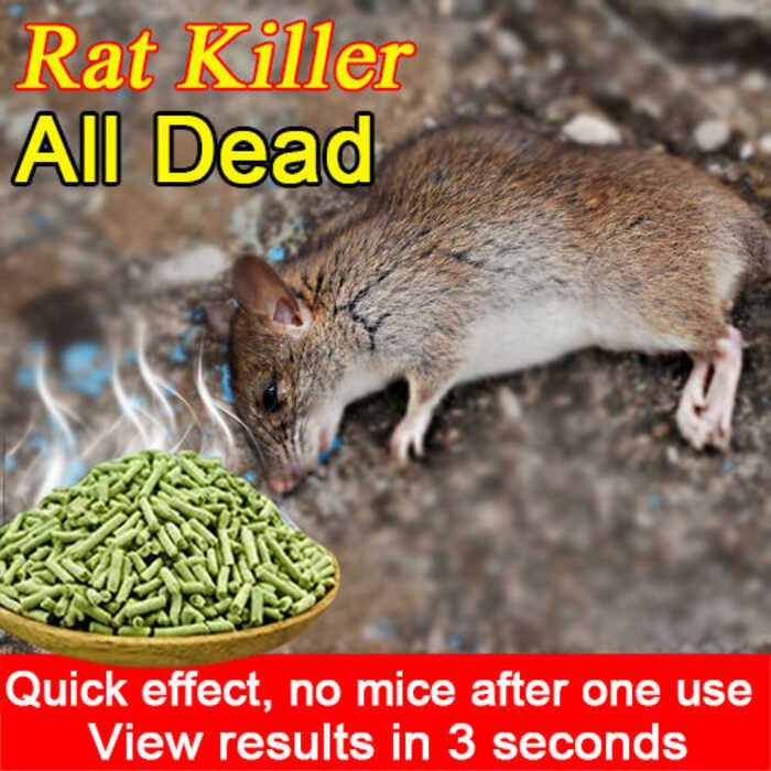Rat Killer Poison Pellet 20G10 Pack Repellant For Home Lason Sa Daga ...