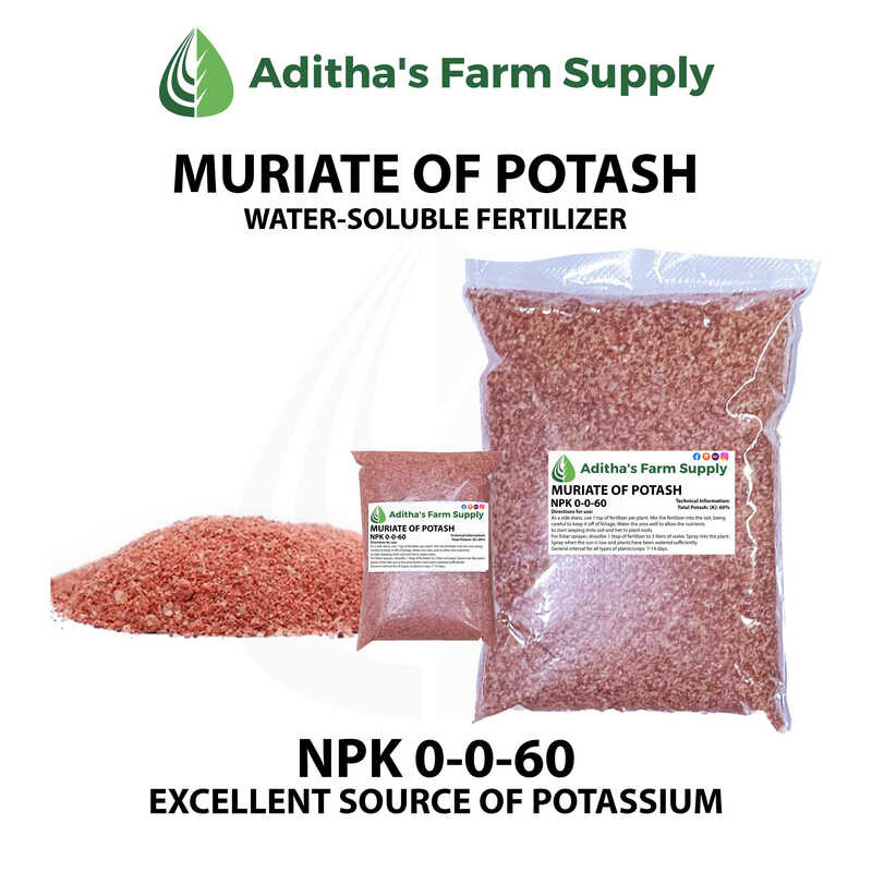 Muriate of Potash Fertilizer (NPK 0-0-60) High in Potassium Content 200 ...