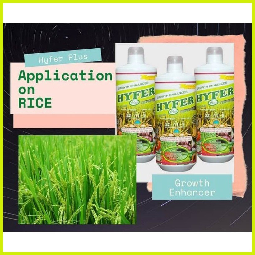 Hyfer Plus Bloom Booster/ Growth Enhancer ( 1 Liter ) | Shopee Philippines