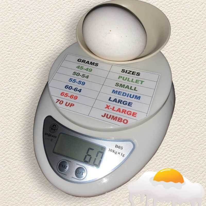 Mini Electronix Egg Weighing Scale | Shopee Philippines