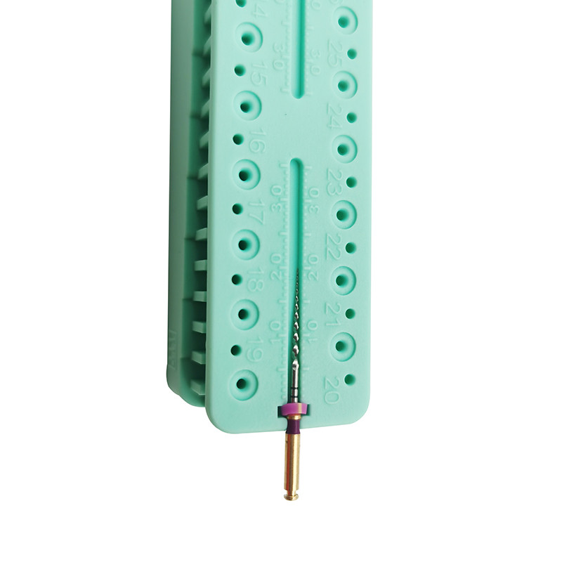 Dental Endo Measuring Ruler Plastic Endodontic Block Files Cleaning ...