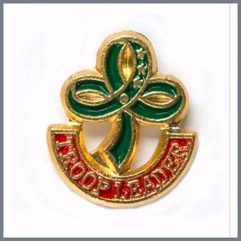 ∦ GSP PINS (twinkler, star, junior, senior, cadet,troop leader pin ...