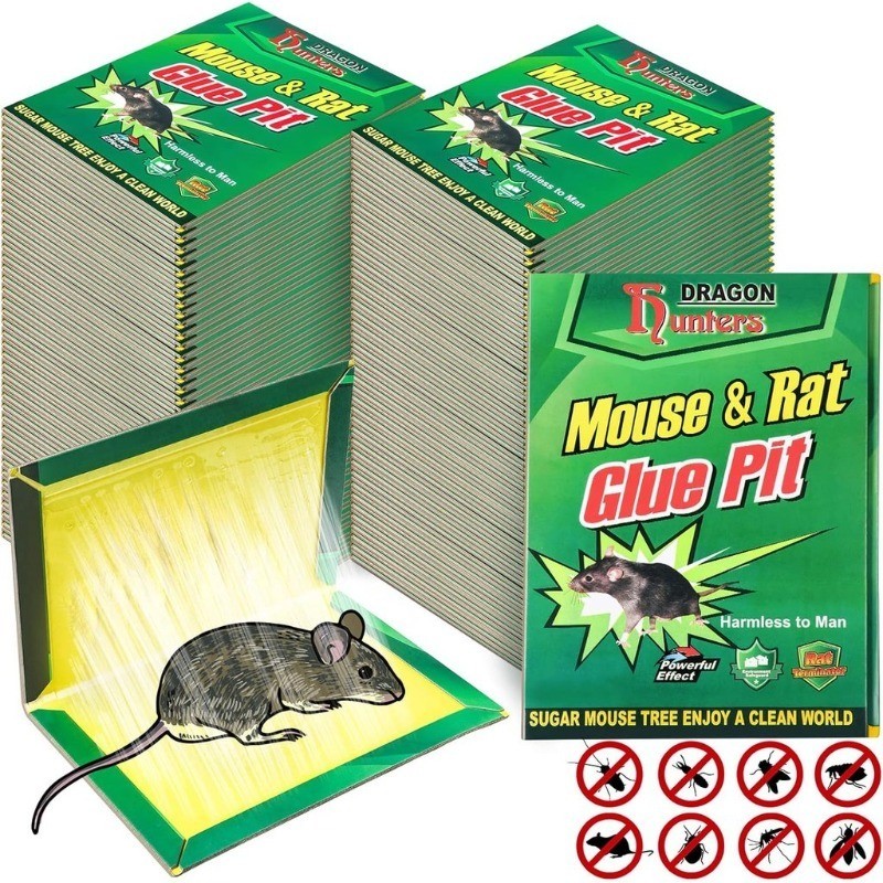Family Safe Mouse Catcher with 2 Sizes | Peanut Scented Rodent Trap ...