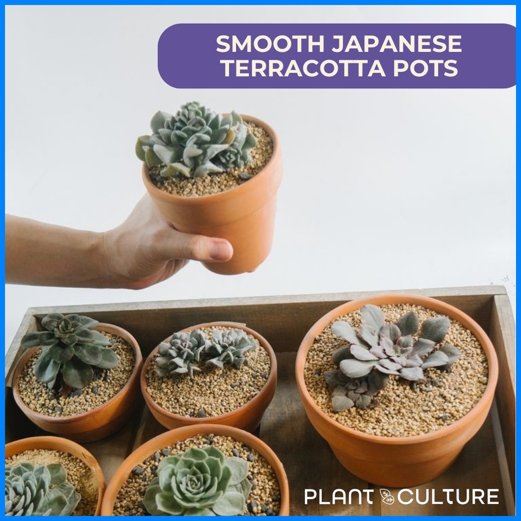 Plant Culture Ph: Smooth Japanese Terracotta Planters | Clay Pots ...