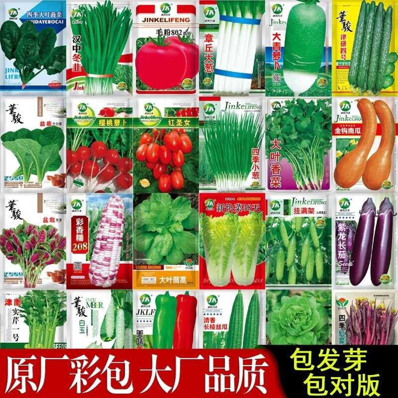 2025 Apat na panahon ang mga salat, celery, chrysanthemum, tubig ...