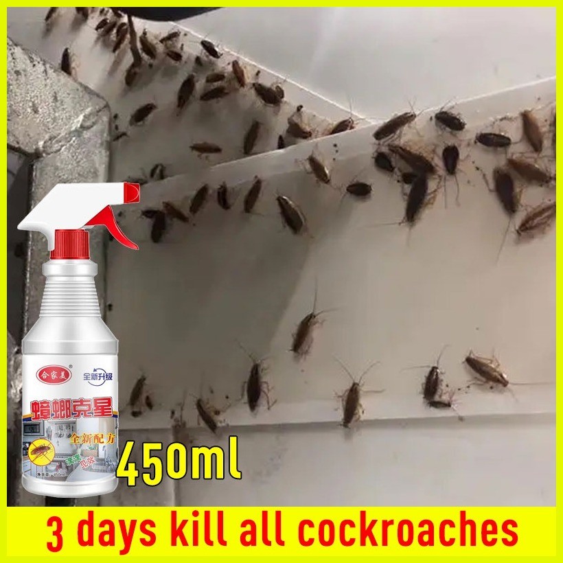 baygon Cockroach Killer Spray 450ml Cockroach trap Cockroach Repellent ...
