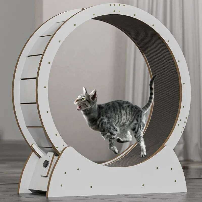 Wood Solid Cat Treadmill With Silent Operation Sports Fiess Exercise ...