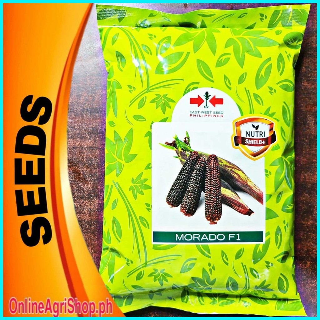 MORADO F1 HYBRID WAXY CORN SEEDS (1 KILO) EAST WEST SEEDS | Shopee ...