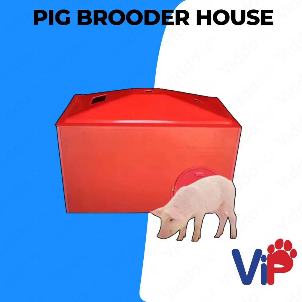 Piglet Brooder house Pig Farm for Piglet Warm Box with the Use of ...