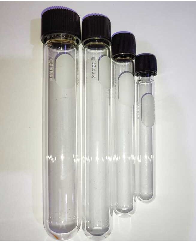 Test Tube / Culture Tube With Screw Cap, Small Sizes, Sold Per Piece ...