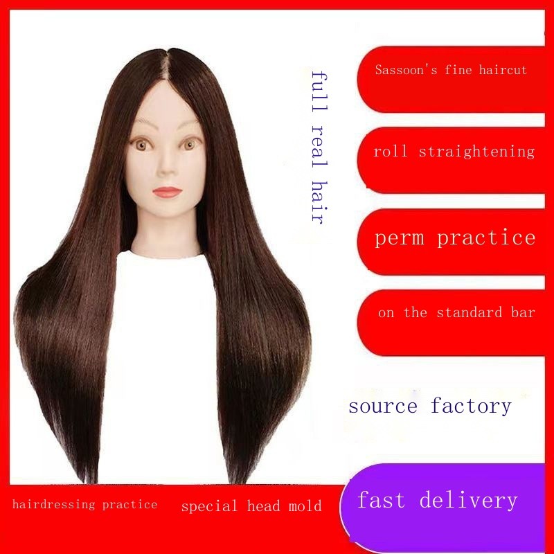 Hairdressing Head Model Full Real Hair Head Model Barber Shop Model ...
