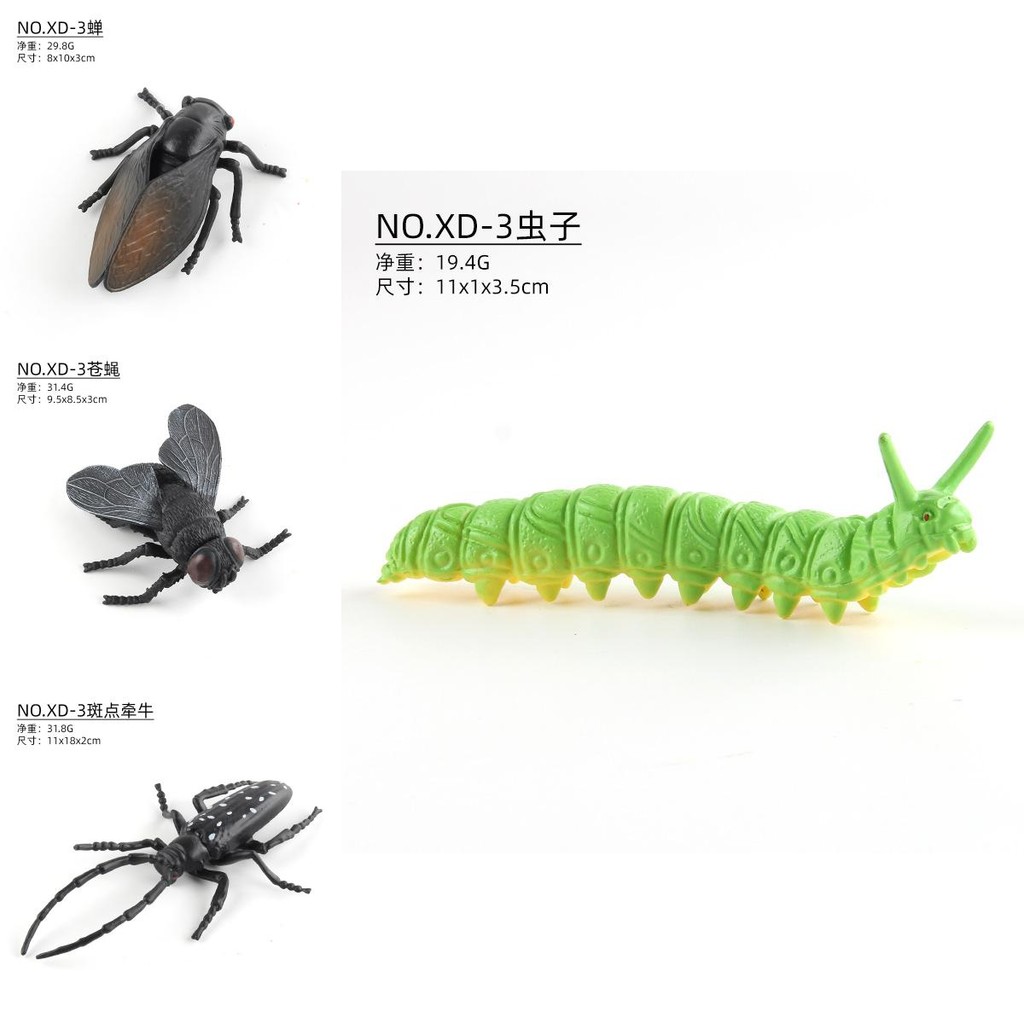 Pvc Crafted Beautifully Insect Models Including Realistic Butterflies ...