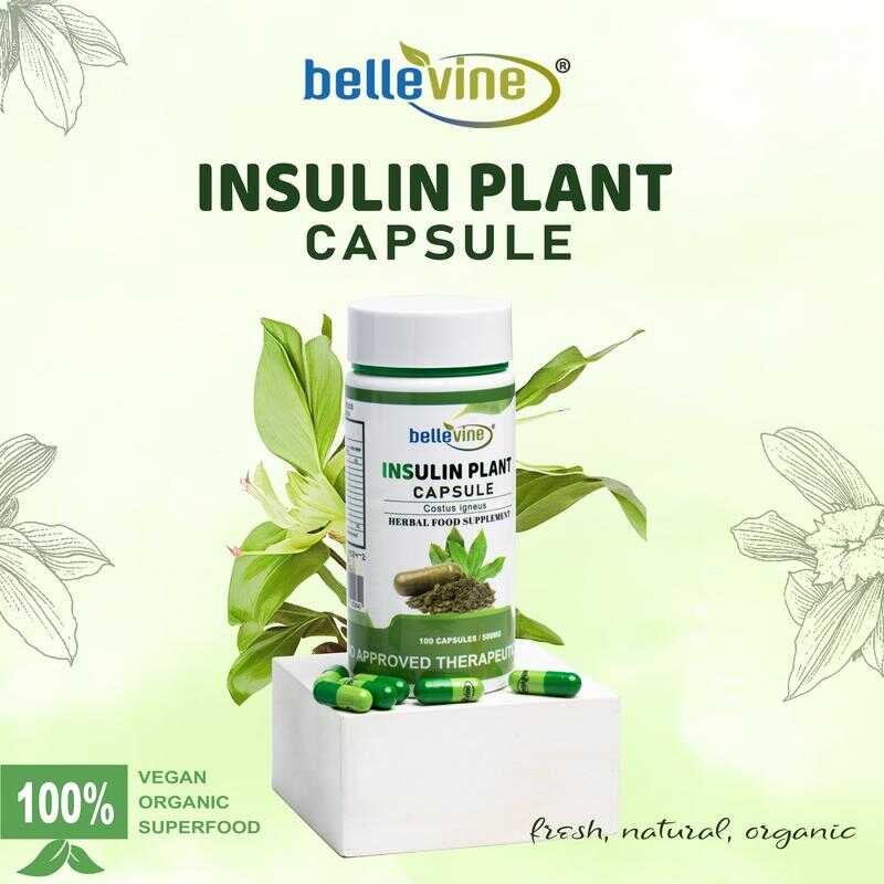 Insulin Herbal Supplement Capsule - 500Mg X 100 Capsules (Fda Approved ...